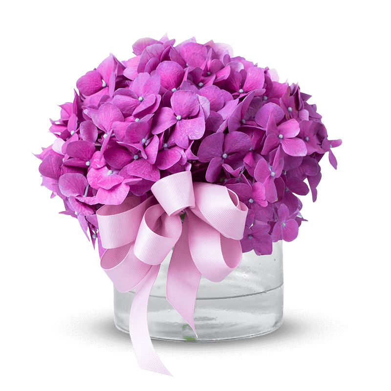 Happiness Florist Asia